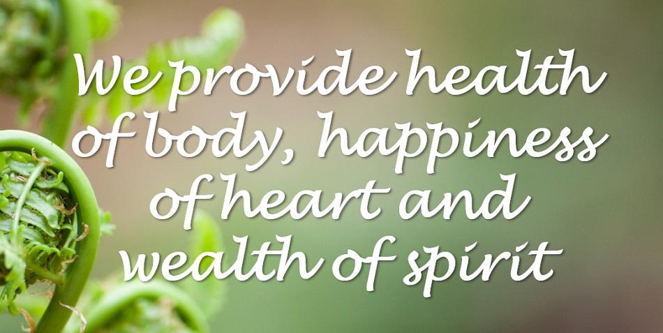 Meet Brenda M. Montrella, N.D. NDCNC, CNHP | Everything Natural Under ...